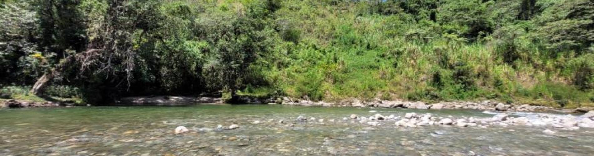 Tropical ecosystems vulnerability to climate change in southern Ecuador ...